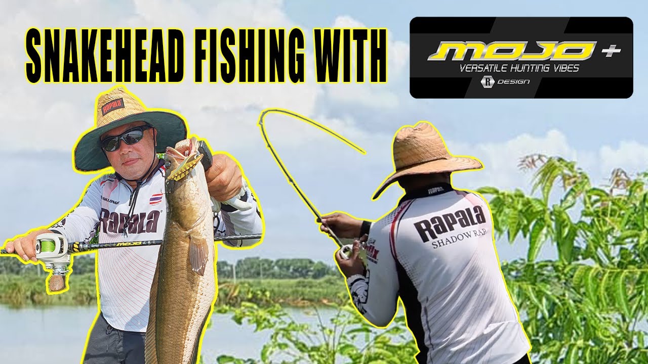 Snakehead fishing with the new Rapala Mojo+ - YouTube