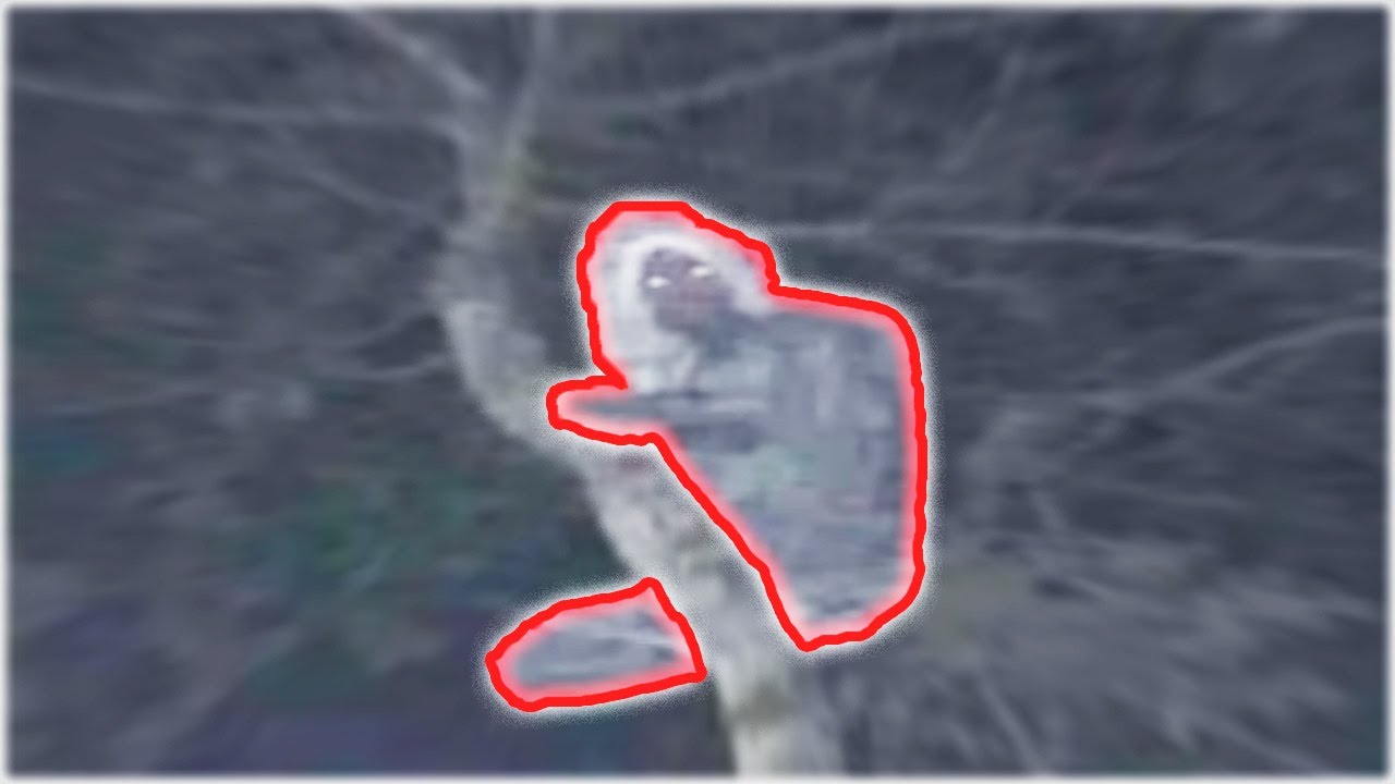 Mexico just proved ELVES are real - YouTube