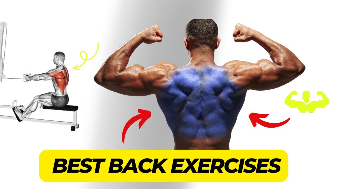 Effective Exercises for Bigger Back - YouTube