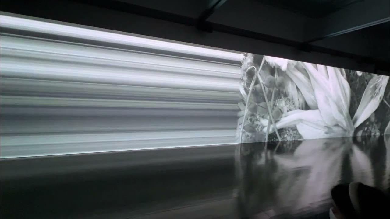 Ryuichi Sakamoto + Shiro Takatani 《async–immersion tokyo》-1- 坂本龍一＋高谷史郎 - YouTube