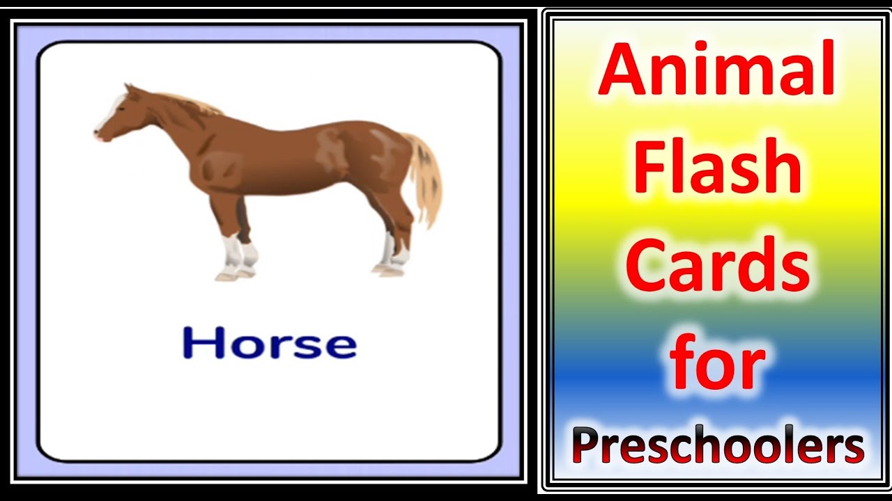 Animal Flash Cards for Preschoolers || Animal Names for Toddlers - YouTube