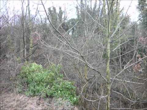 Old Sprotbrough railway station - Near Doncaster - YouTube