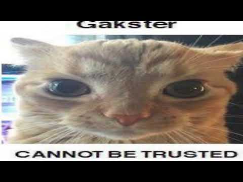 Know your gusics - YouTube