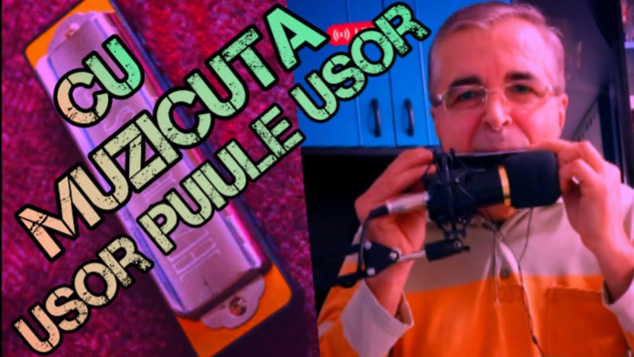 🇹🇩Ușor puiule,ușor&Costel Rotaru muzicuță instrumental/cover - YouTube