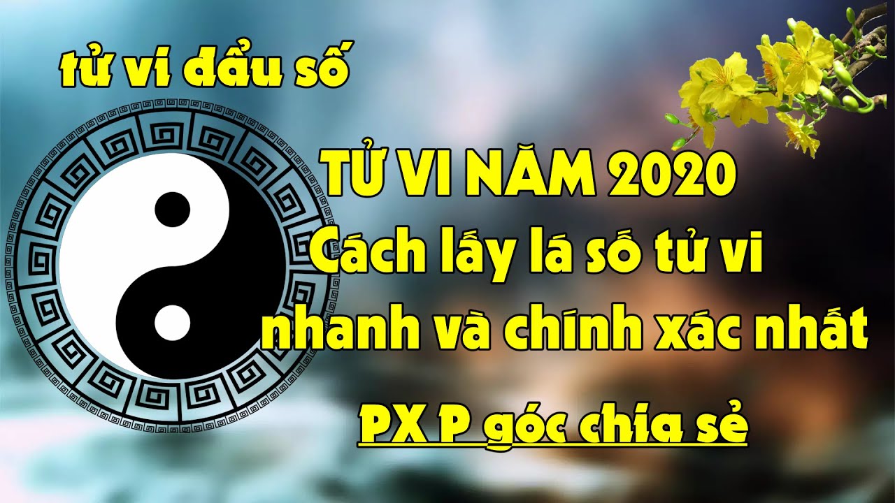 tử vi 2020 cách lấy lá số tử vi năm 2020 - PX P - YouTube