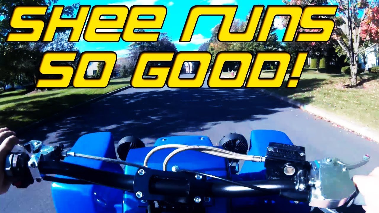 THE BANSHEE RUNS SO GOOD! Air Box Mod Part 1 - YouTube