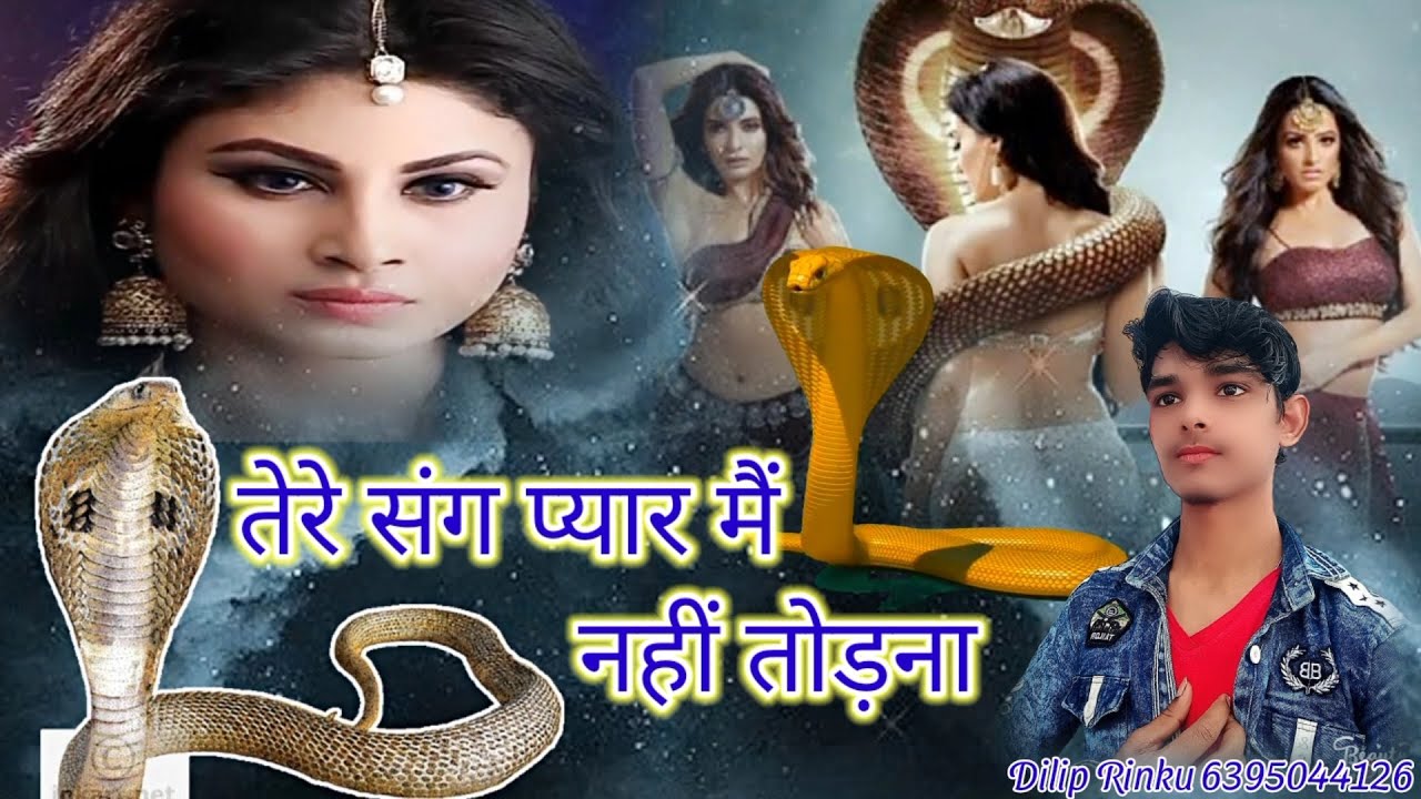 Nagin 2 Song तेरे संग प्यार मैं नहीं तोड़ना Tere Sang Pyar Main Nahin ...