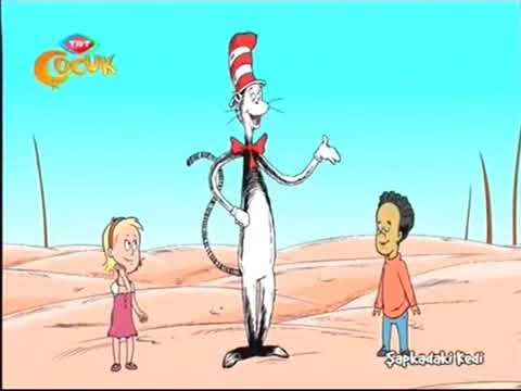 Şapkadaki Kedi | Süper Deri