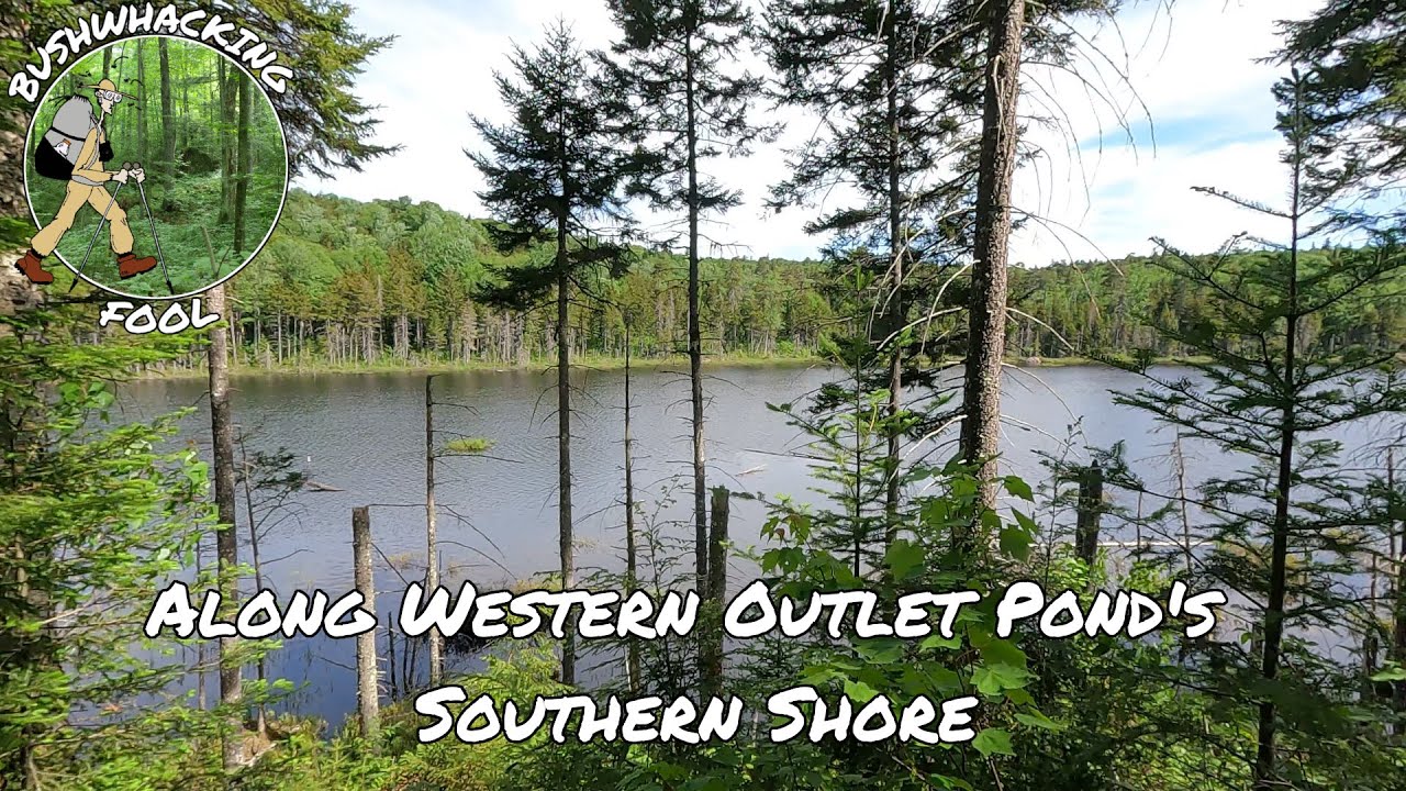Along Western Outlet Pond's Southern Shore | Five Ponds Wilderness ...