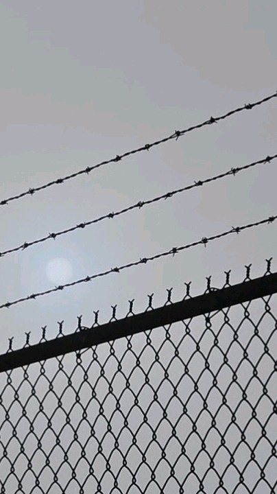 spooky sun behind barbed wire - visual asmr experience - YouTube