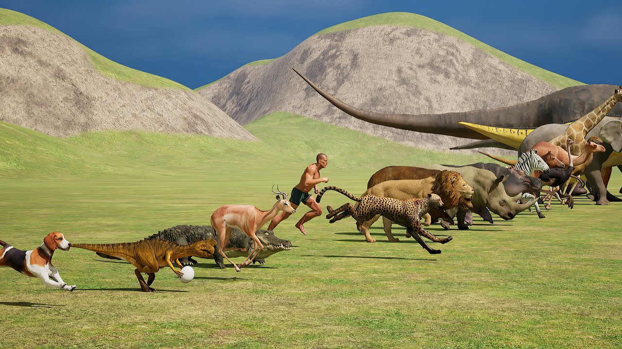 Animals Speed Comparison | Present and Prehistoric - YouTube
