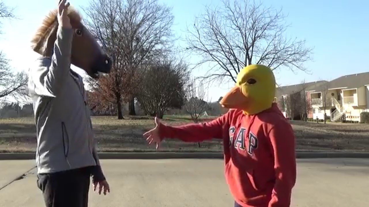 Danny The Duck Meets Harold The Horse - YouTube