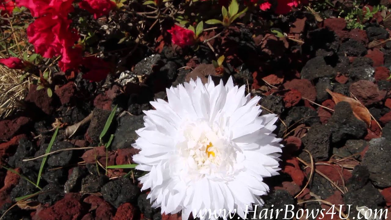 White Silk Spiky Daisy Clip - video demo - YouTube