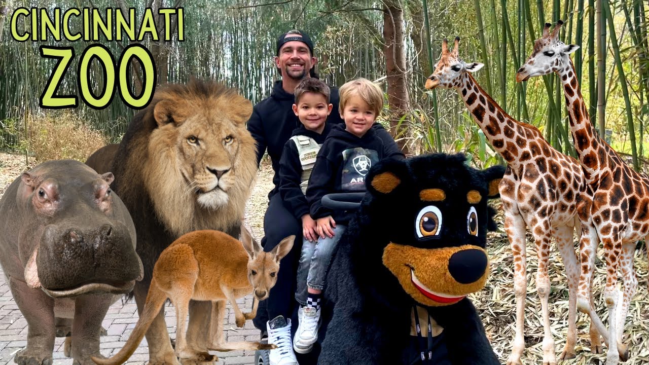 They let us ride a BLACK BEAR at the Zoo!?! KID FUN/CINCINNATI /FIONA /ANIMALS/HIPPO/LION ...