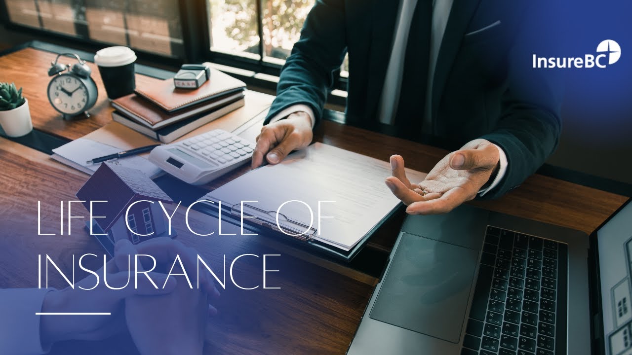 Life Cycle of Insurance - YouTube