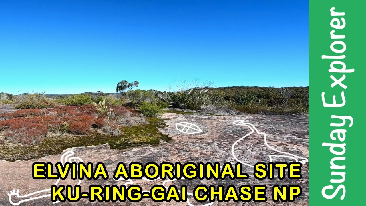 Elvina ABORIGINAL ENGRAVINGS Site, Ku-ring-gai Chase National Park ...