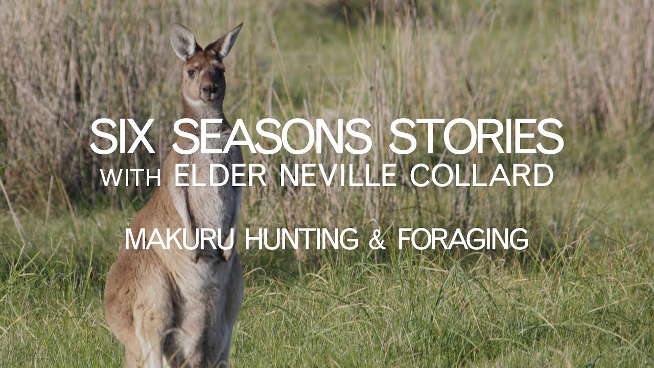 Six Seasons Stories with Elder Neville Collard - Makuru - Hunting ...