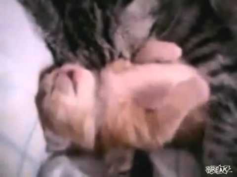 Bi' tık değiştir hayatı. BUGÜN ANNENE SEN SARIL!