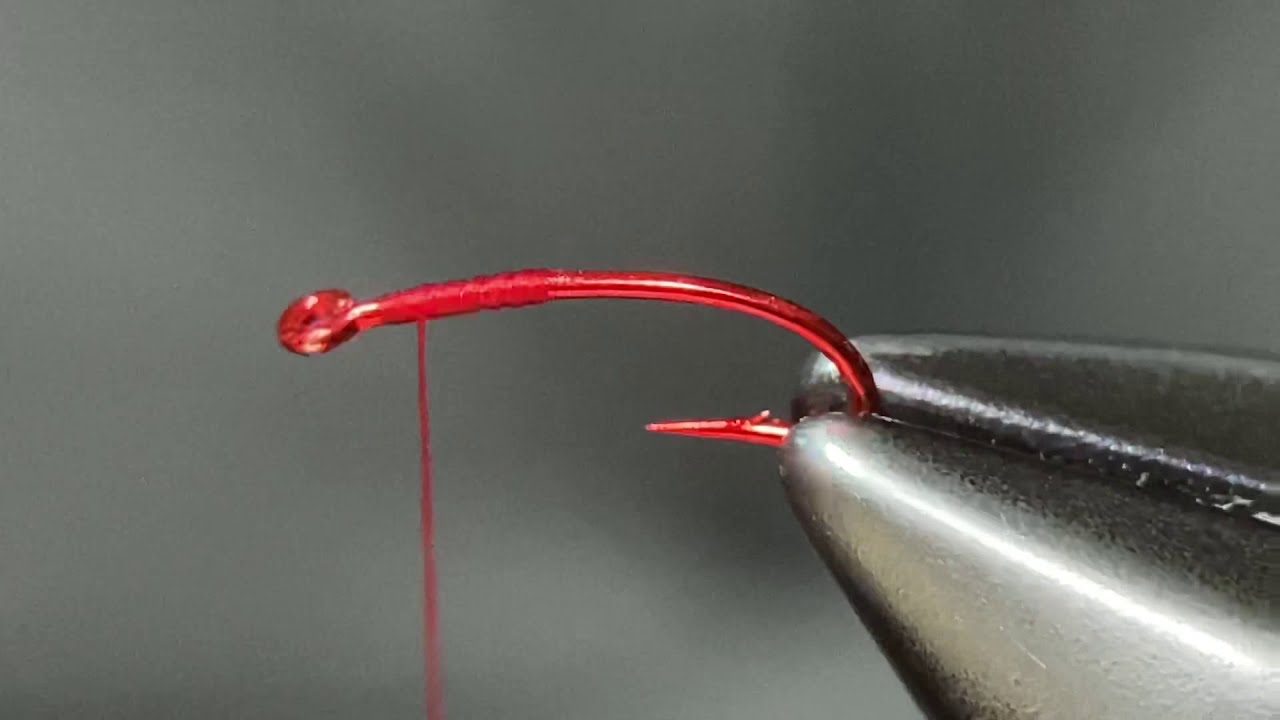 Red Annelid - YouTube