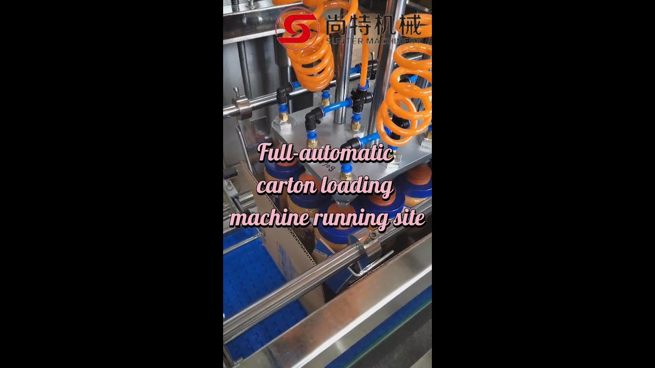 Full-automatic carton loading machine running site - YouTube