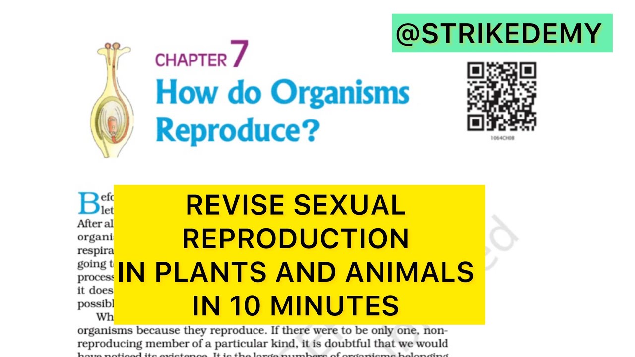 HOW DO ORGANISM REPRODUCE || CHAPTER 7 CLASS 10 || SEXUAL REPRODUCTION ...