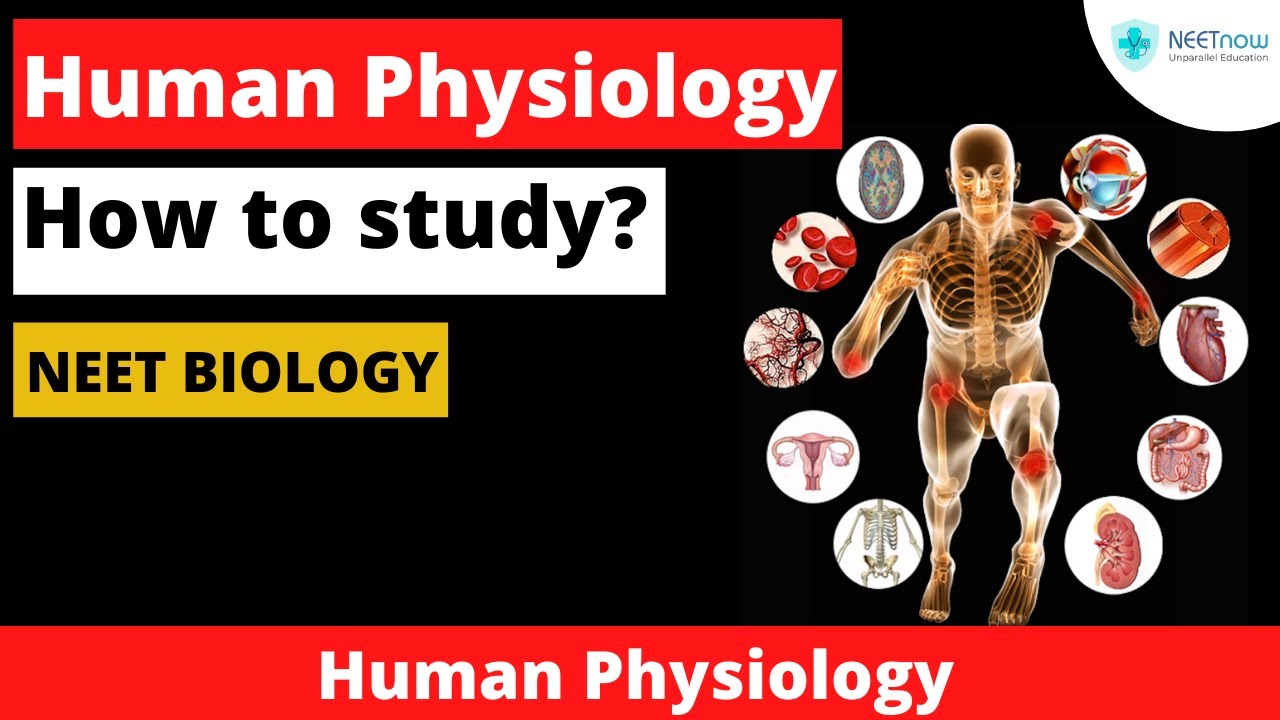 How To Study Human Physiology Class 11 NEET YouTube how-to-study-human-physiology-class-11-neet-youtube
