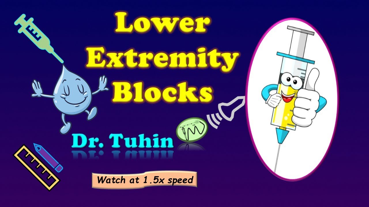 Lower Extremity Blocks | Lower limb block Anaesthesia | FNB | LFCN ...