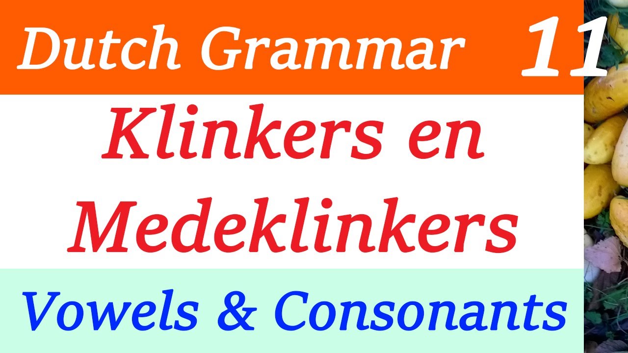 Learn Dutch for beginners vowels and consonants in Dutch language ...