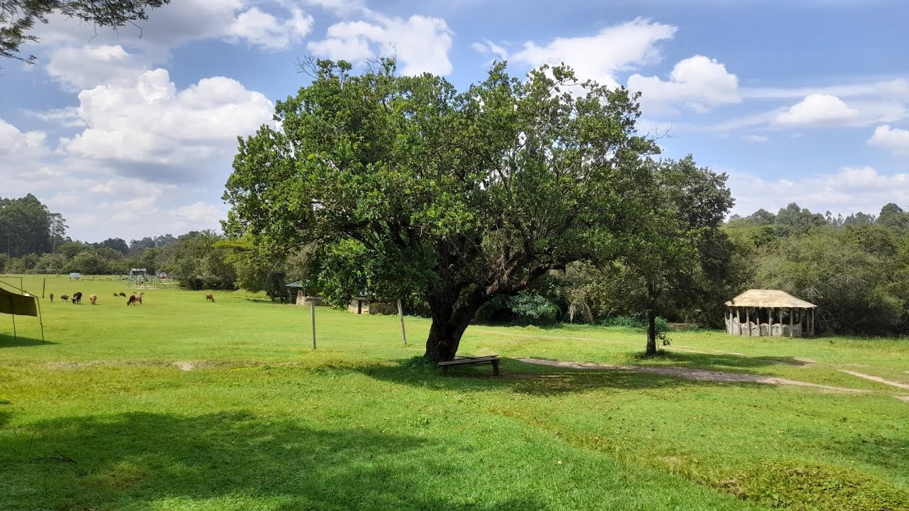 Journey Through Ndura Park: A Conservationist's Dream Come True! - YouTube