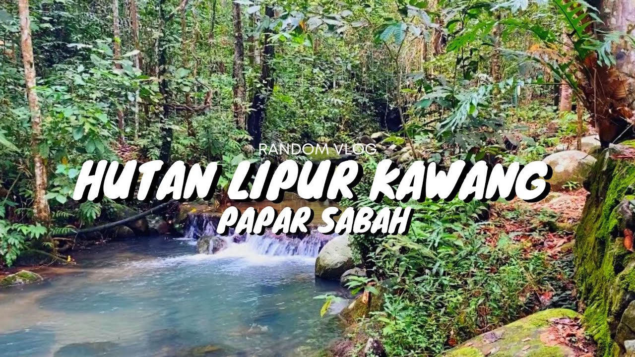 HUTAN LIPUR KAWANG PAPAR - YouTube