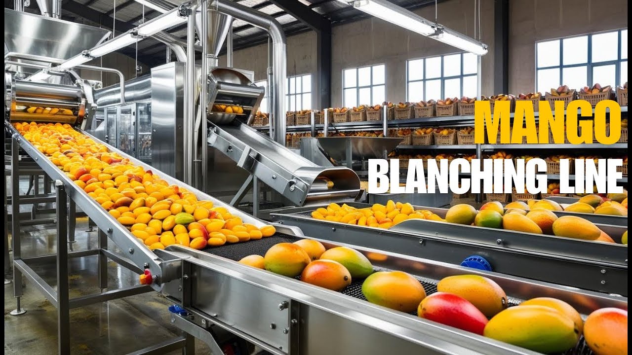 Mango Processing and Blanching Line by SS Engineers and Consultants - YouTube