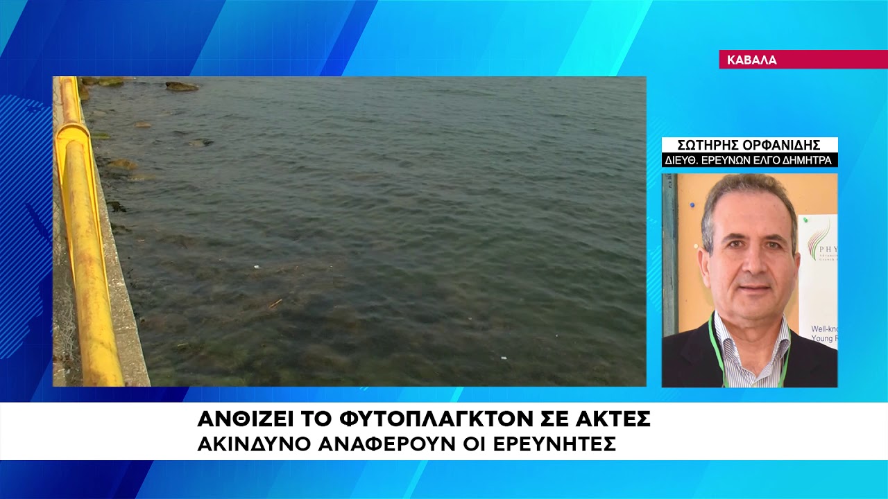 Ανθίζει το πλαγκτόν σε ακτές της Καβάλας - YouTube