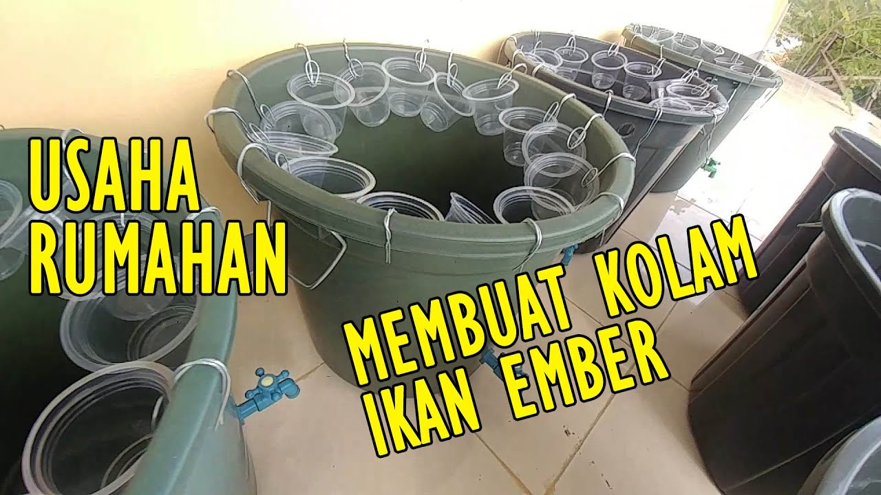 CARA MEMBUAT KOLAM IKAN MAKE EMBER - YouTube