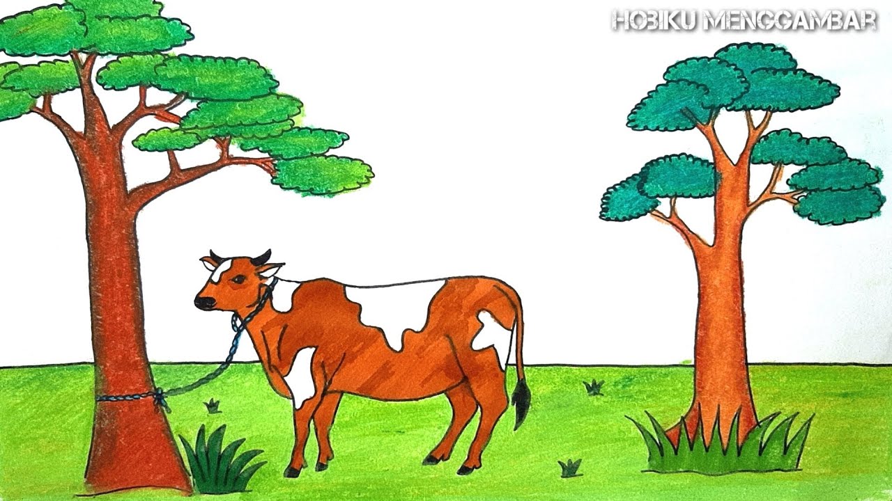Cara menggambar sapi || Cara menggambar hewan qurban || Menggambar tema ...