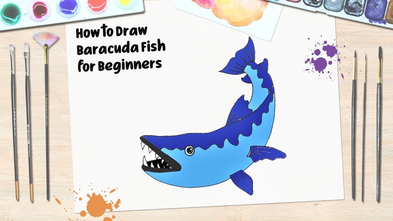 How to Draw A Baracuda Fish Easy for Beginners | Animal Drawing ...