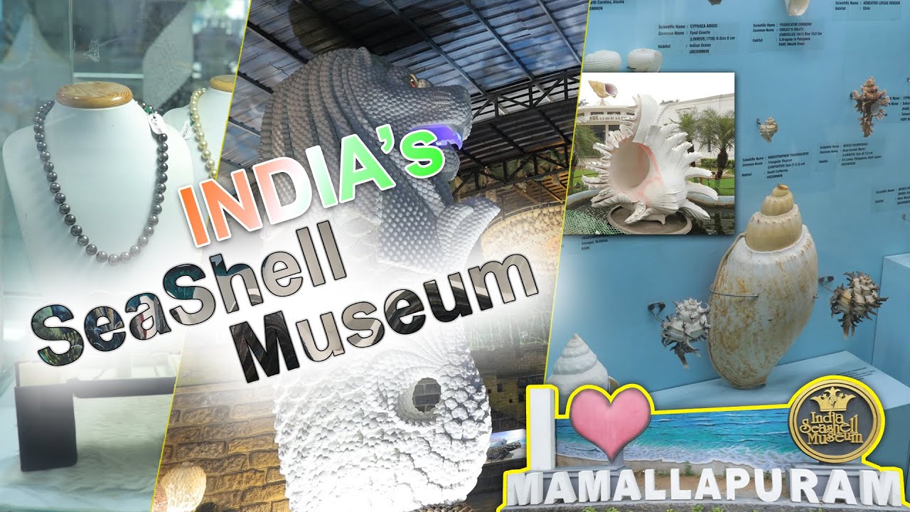India's Seashell Museum - Chennai Vlog - TravelKuruvi - YouTube