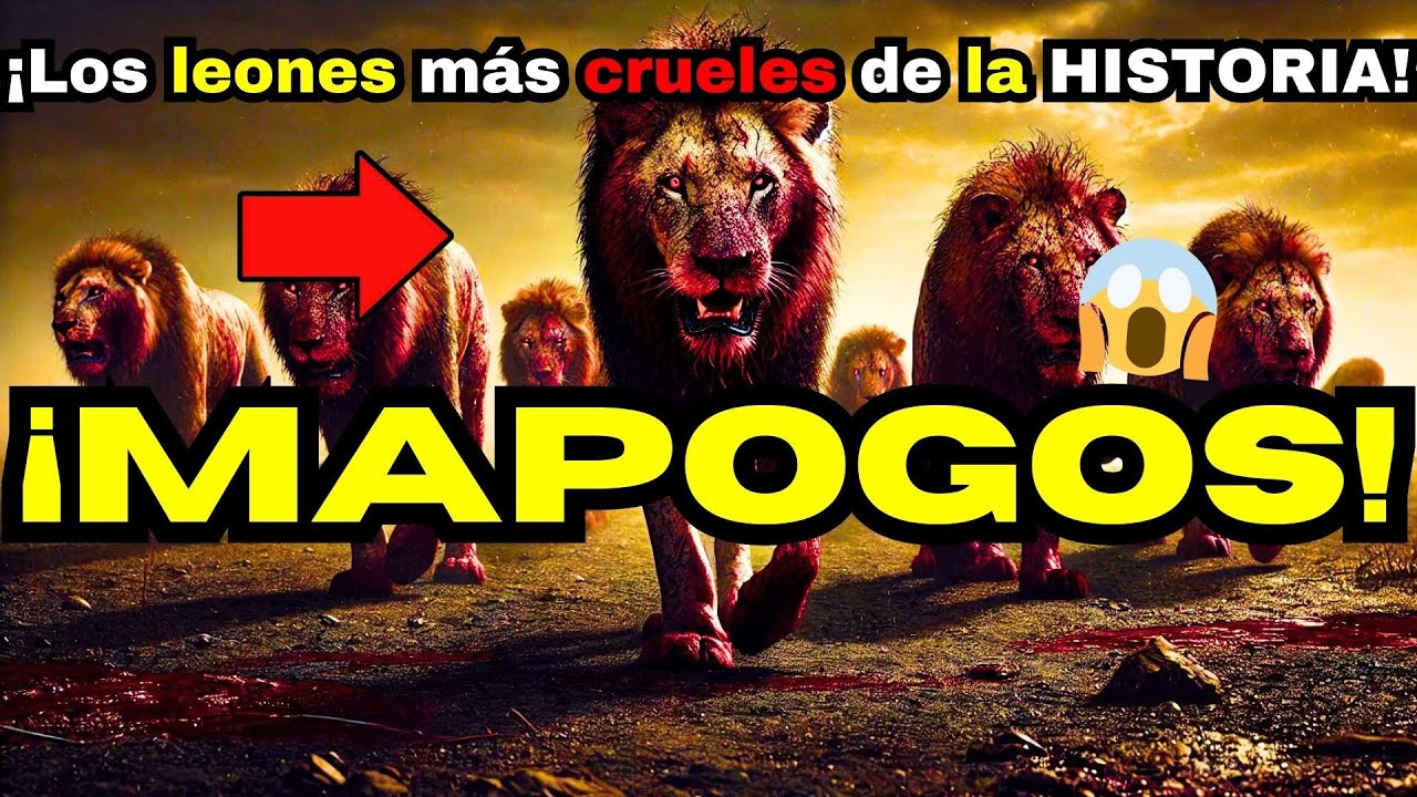 León - MAPOGOS, LOS LEONES MÁS CRUELES DE LA HISTORIA (Historia real ...