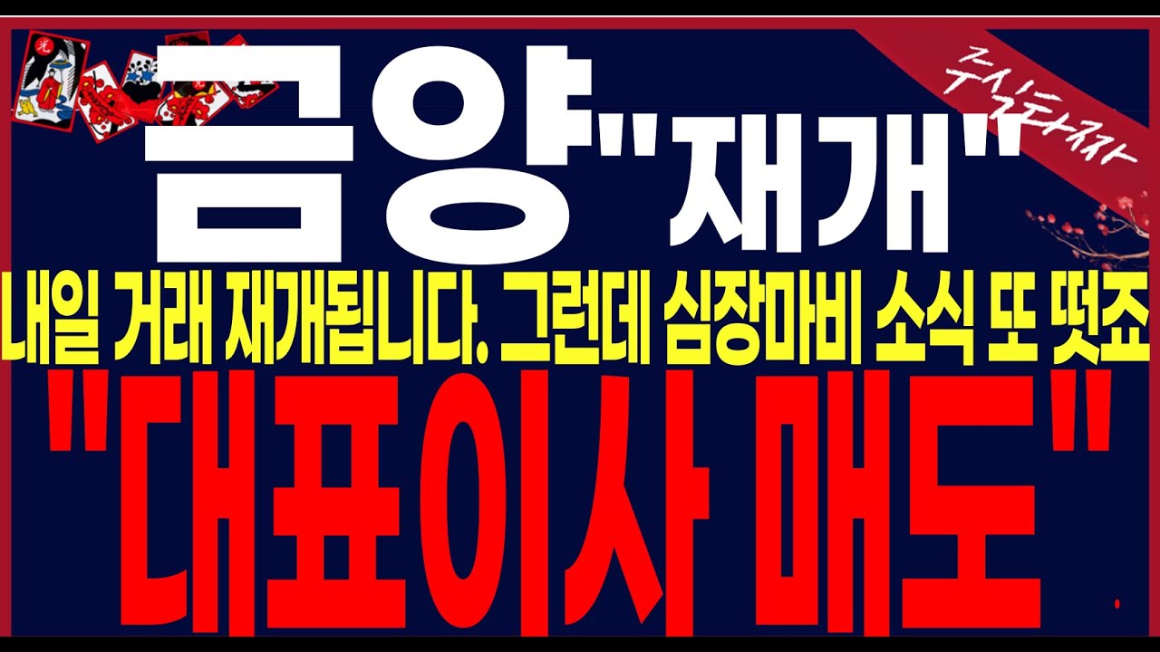 금양 주가 전망 대표이사지분매도공시 류광지회장 이후에 또 지분매각 깡통계좌를 희망하지않는 분들은 필수시청바랍니다그럼 풀립니다 에코프로 에코프로비엠 금양