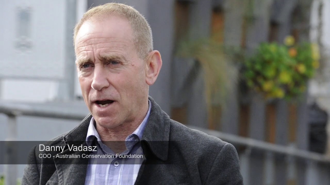 Danny Vadasz interview - YouTube