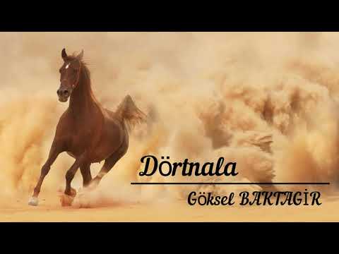 Göksel Baktagir  '' Dörtnala ''