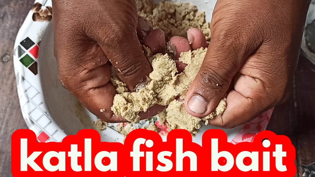 Best katla fish bait || easyiest katla fish bait || कतला मछली का चारा ...