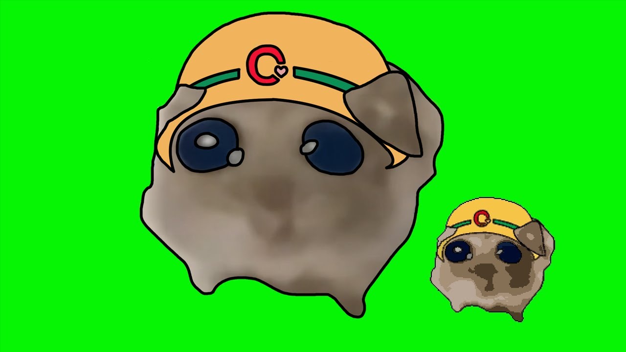 sad rescue hamster meme (yugioh version) (greenscreen) #yugioh - YouTube