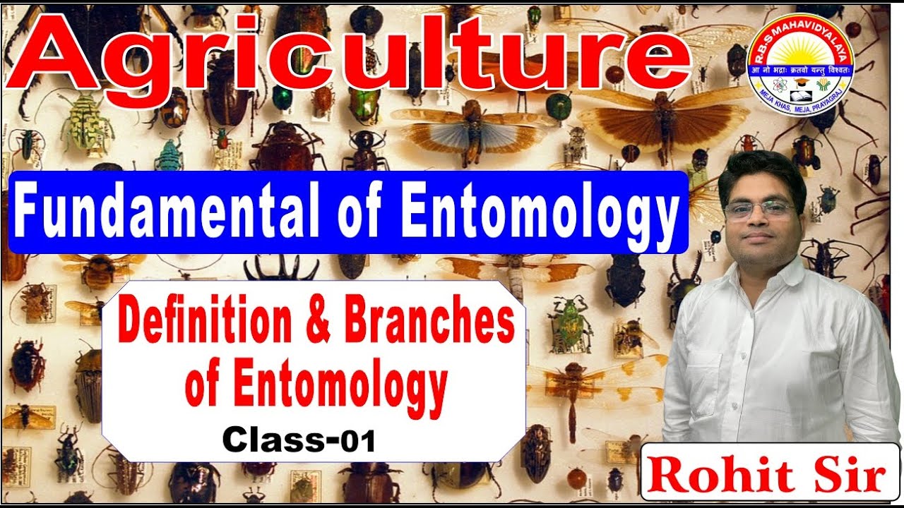 B.Sc (Ag.) 2nd Semester || Fundamental of Entomology 1st || Definition ...