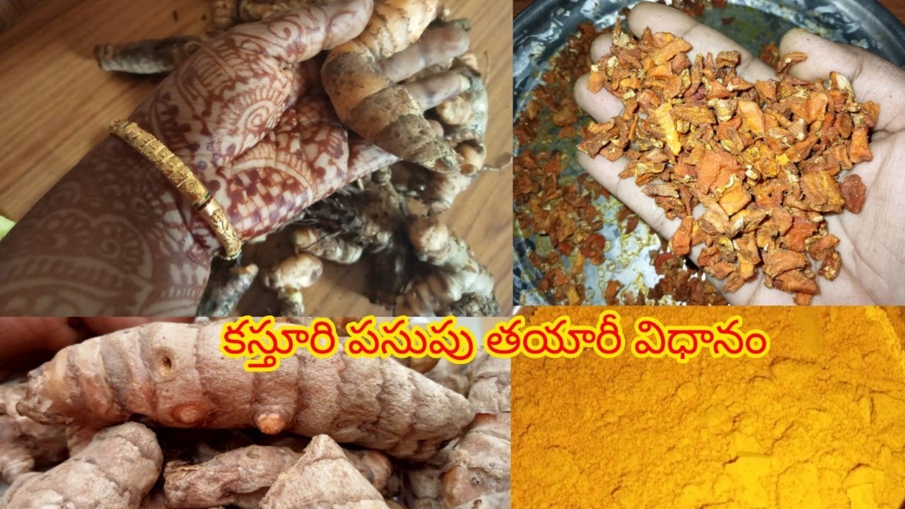 పచ్చి/కస్తూరి/చాయ పసుపు/pasupu తయారీ విధానం/చర్మ సౌందర్యం కోసం ఈ పసుపు ...