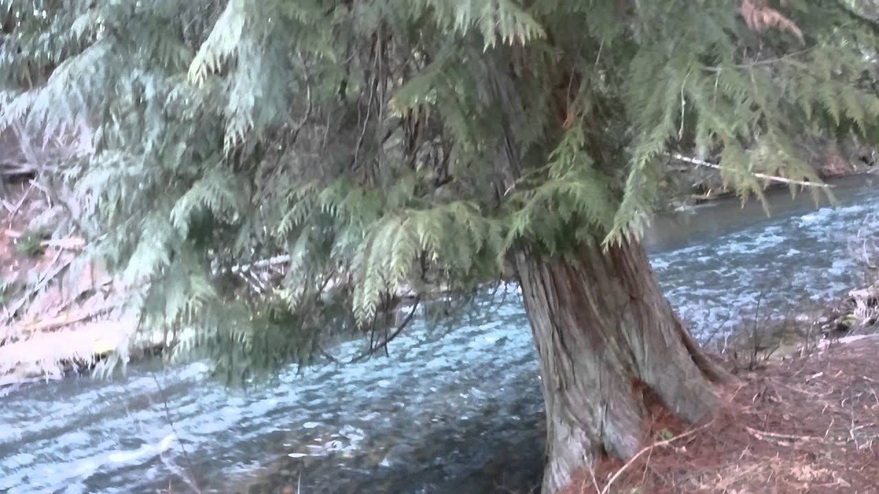 Round Lake State Park - YouTube