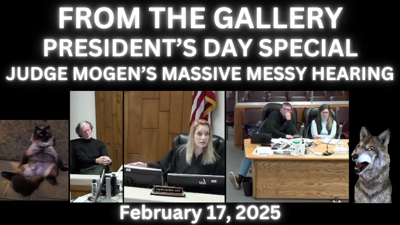 Judge Mogen's Massive Messy Civil Case - Live From The Gallery 02/17/25 ...