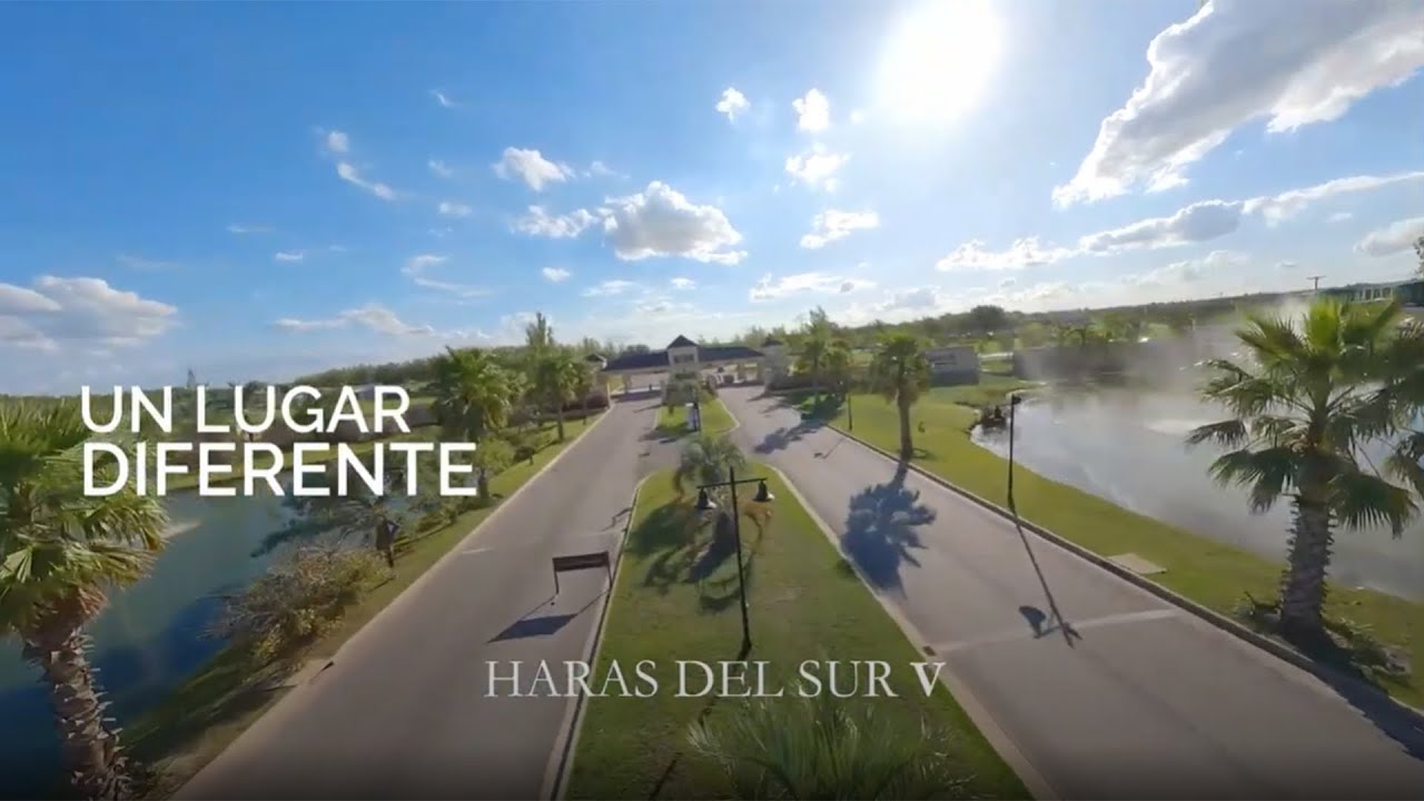 Haras del Sur V | Nuevo Lanzamiento - YouTube