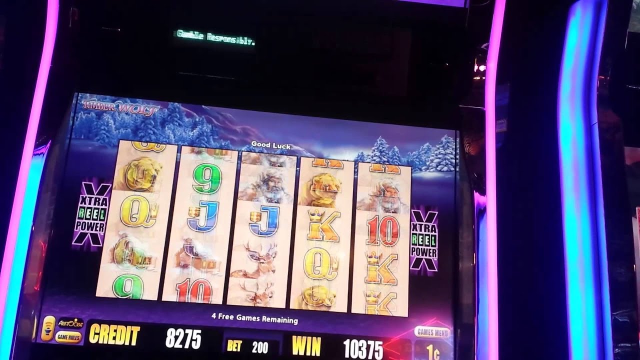 Timber Wolf - Slot - Big Win - Bonus Game - - YouTube
