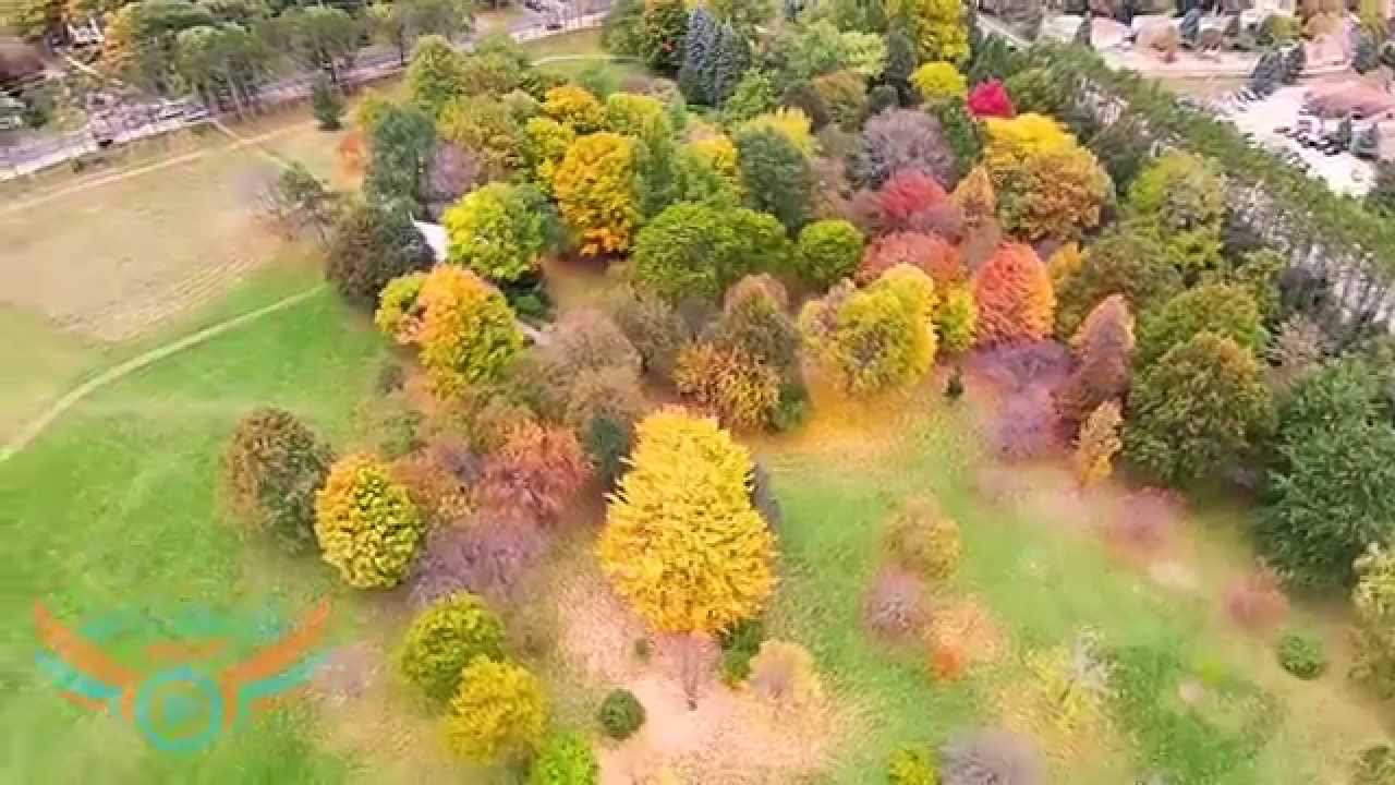 Sunnidale Park in Barrie, Ontario In The Fall - YouTube