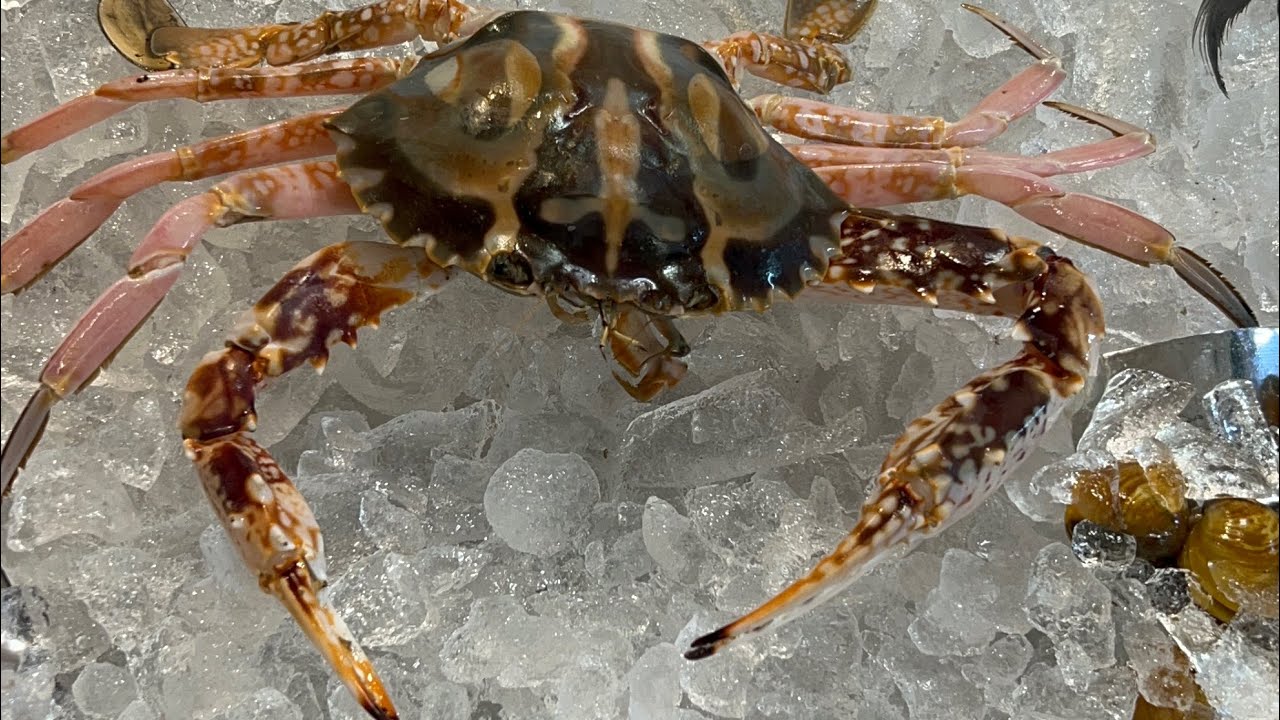 Closer look of Red Crab | khekada | 🦀 चिंबोरी | Giant crab #khekda # ...